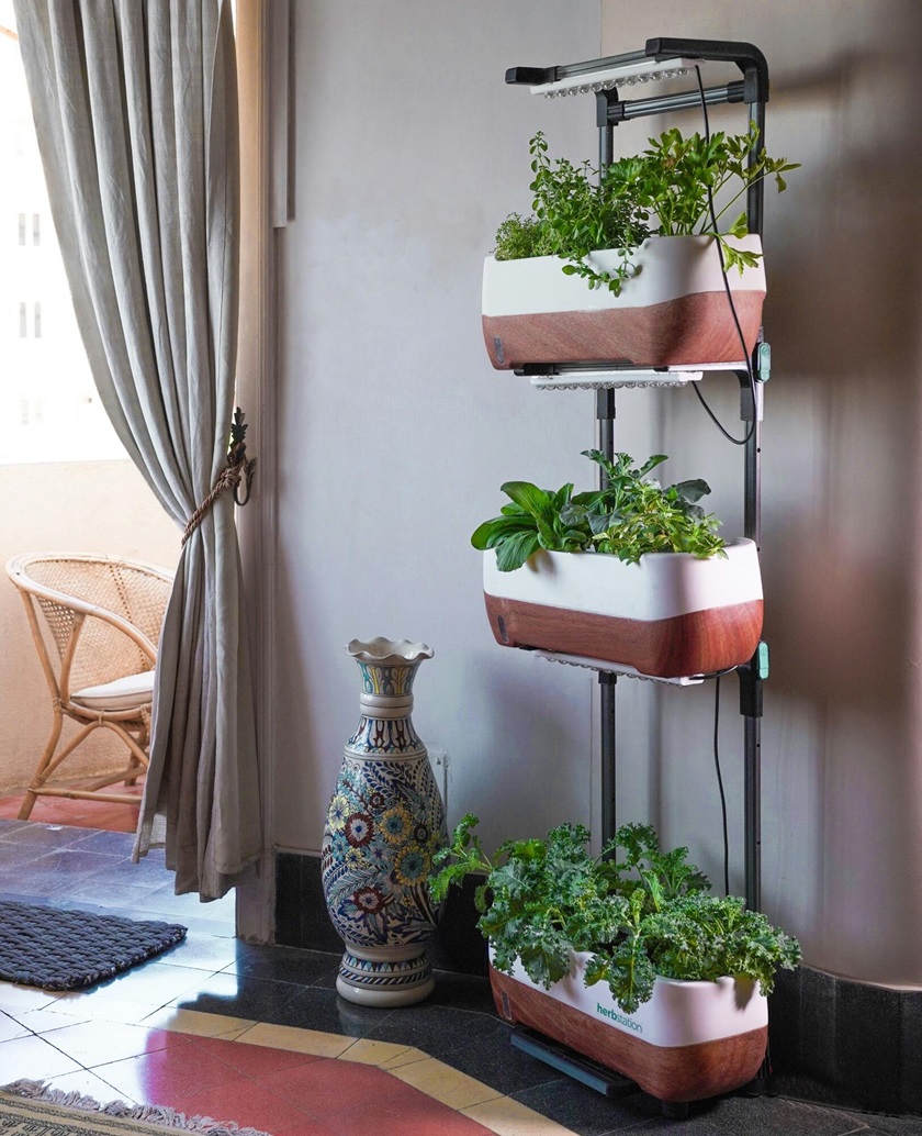 Revolutionize Your Urban Gardening with a Vertical Tower Garden - In ...